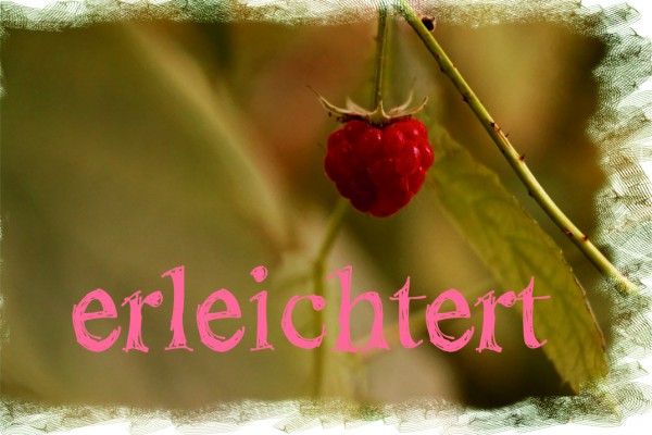 Bring deinen Kindergottesdienst auf ein anders Level